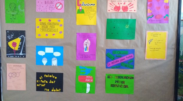 ONG Amaranta- Desde concepción, Chile – Género, diversidades, tecnología y DDHH