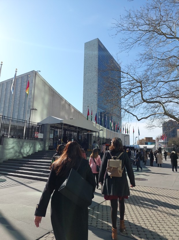 ONG Amaranta participó en la CSW67: ¿Qué significa eso? ¿Y cuál es su importancia para mujeres y ...