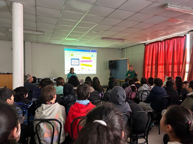 ONG Amaranta- Desde concepción, Chile – Género, diversidades, tecnología y DDHH